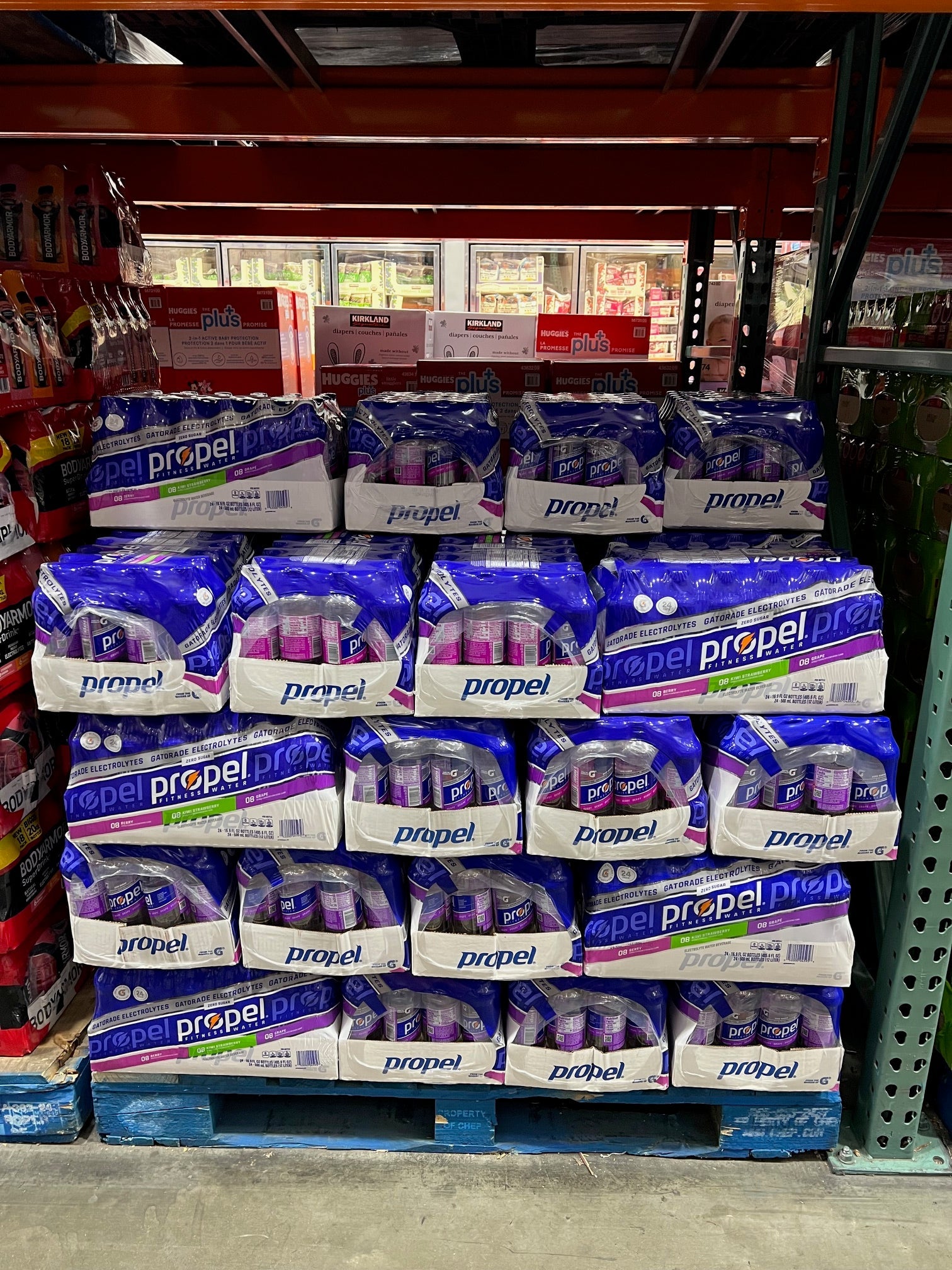 Propel Fitness Water Variety Pack 24 ct, 16.9 oz – San Elijo 2